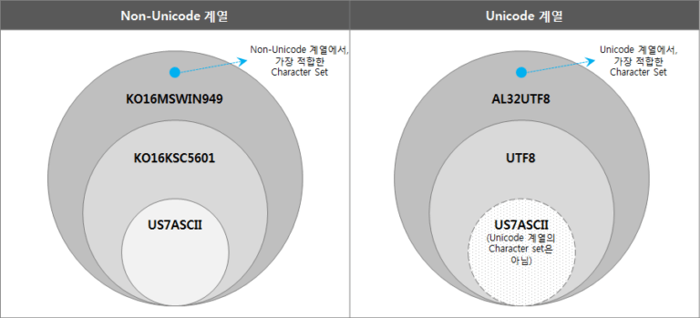 Oracle Character Set 변환 필요성 설정 가이드 개요